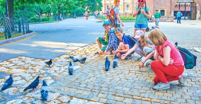 Family Tour of Krakow Old Town with Sweets Factory & Cruise - FAQ