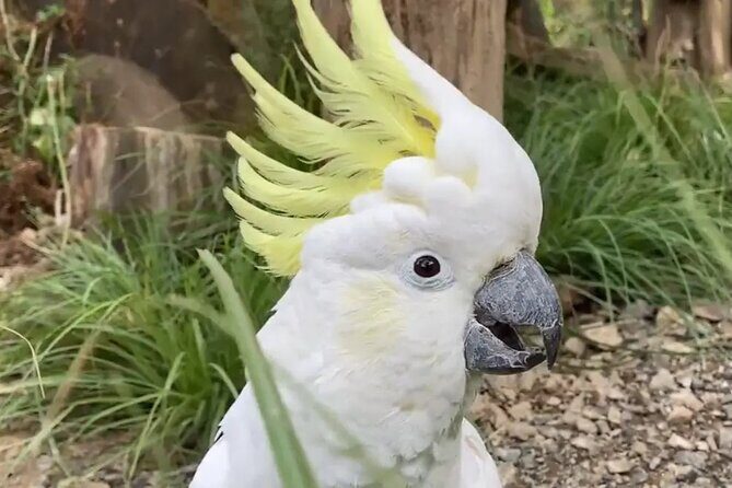 Family trip to staglands wildlife sanctuary - Key Points