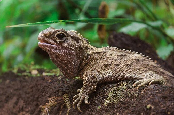 Family trip to staglands wildlife sanctuary - Who Should Consider This Tour?