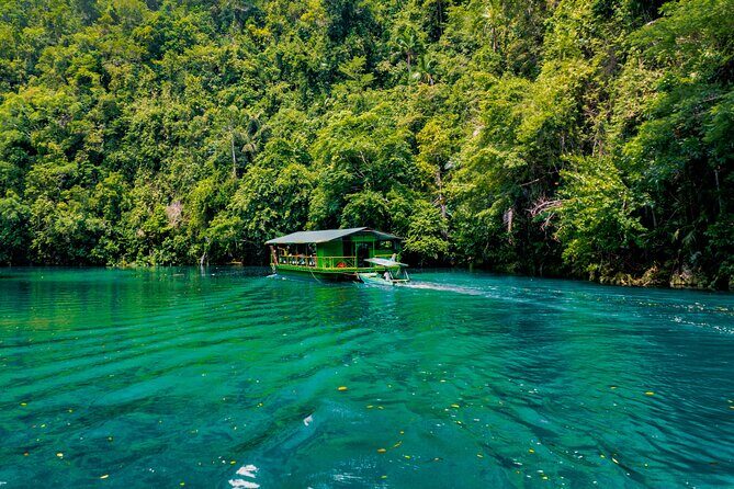 Famous Bohol Chocolate Hills Loboc River Cruise Tarsier Tour - What’s Included and What’s Not