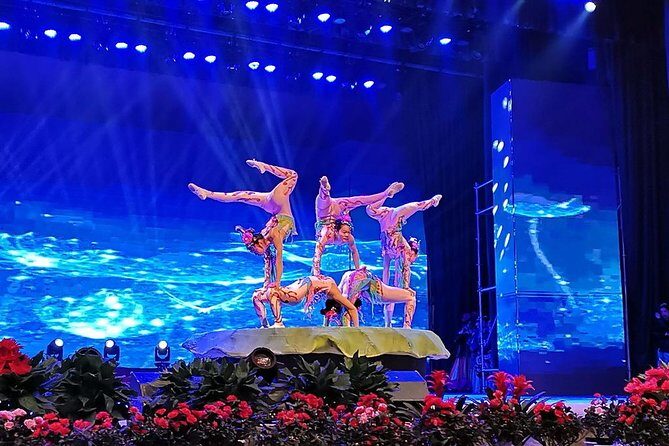 Famous Chinese Acrobatics Show with Private Transportation - Value and Cost Analysis