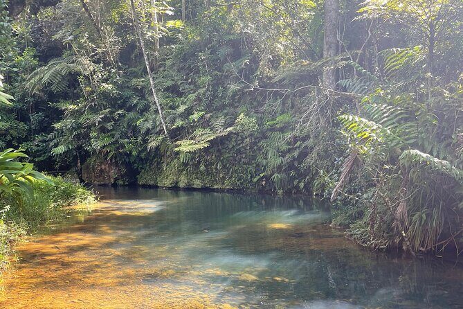 Famous Guavate Pork Road & Charco Azul Food & River Tour - Who Should Consider This Tour?