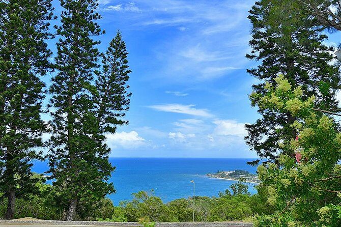 FAMOUS Local Green Train Noumea (01h30) - Dealing with Crowds and Comfort