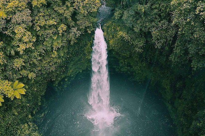 Famous of Ubud Art Village Private Tours - What’s Included and What to Expect