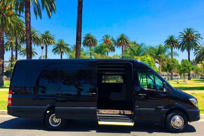 Famous Road to Hana Waterfalls and Lunch by Mercedes Van - Practical Considerations: Value and Comfort