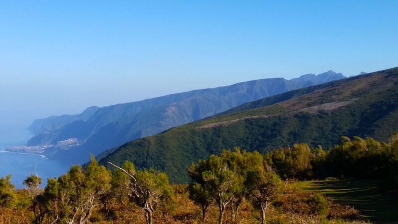 Fanal / Assobiadores - Levada Walk - FAQ: Your Practical Questions Answered