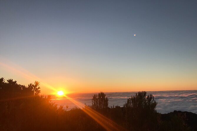 Fanal Forest Private Sunset Hike - Discovering the Fanal Forest Sunset Hike: An In-Depth Exploration