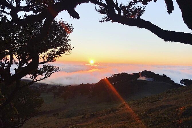 Fanal Forest Private Sunset Hike - Final Thoughts