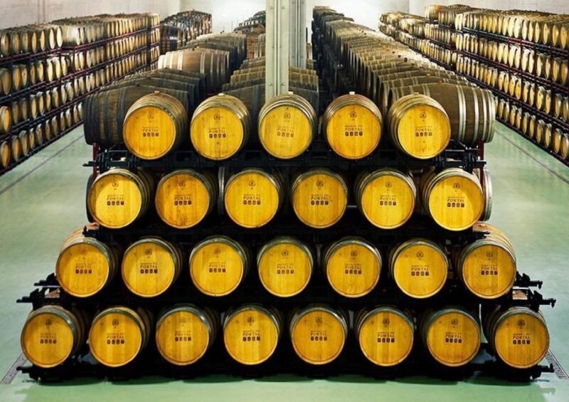 Fancy Douro from Porto - private walk + lunch + wines - In The Sum Up
