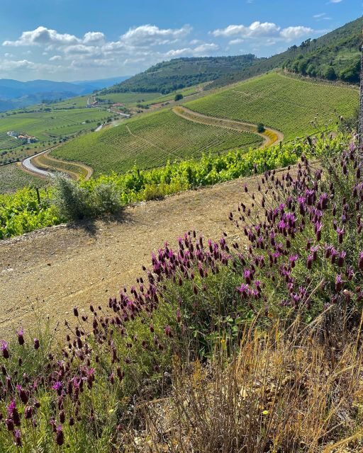 Fancy Douro from Porto - private walk + lunch + wines - FAQ