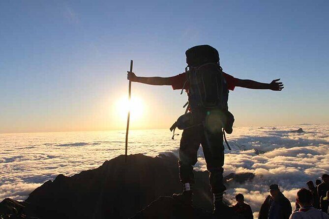 Fansipan Mount Trekking 1 Day - Transport, Pricing, and Value