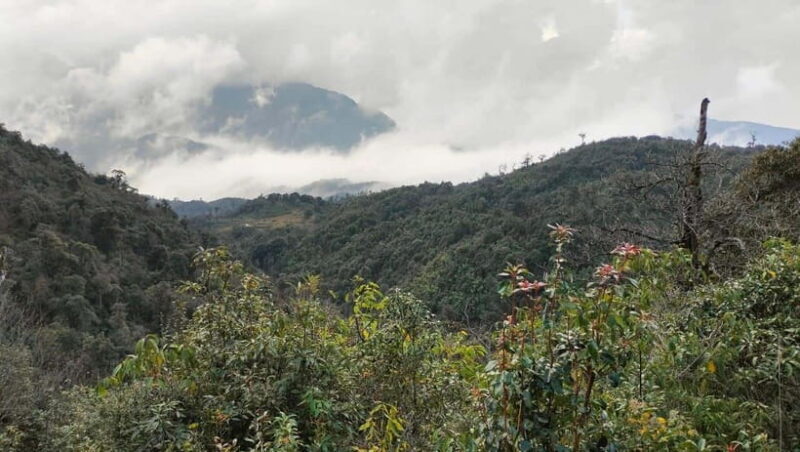 Fansipan Mountain 1-Day Trekking Tour - Key Points