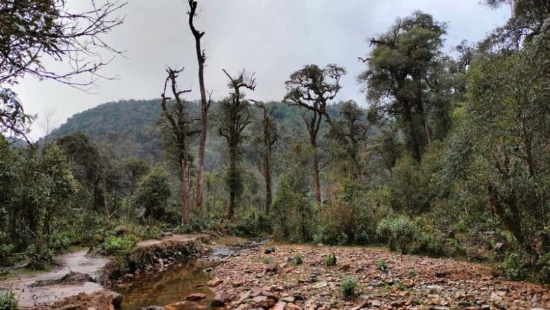 Fansipan Mountain 1-Day Trekking Tour - What Traveling With a Guide Means