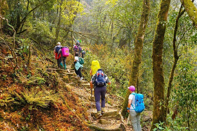 Fansipan Mountain Trekking 2 days 1 night - What Makes This Tour Stand Out
