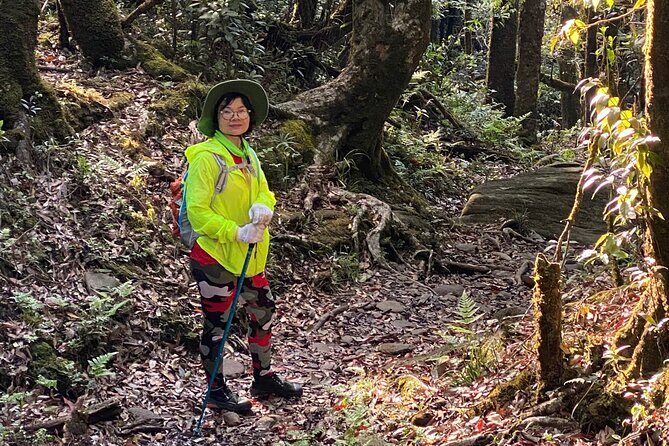 Fansipan Summit Challenge - The Sum Up