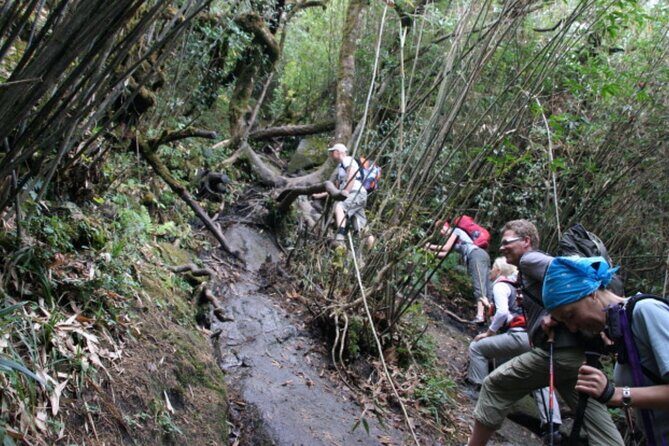 Fansipan Trek One Day Tour  Roof of Indochina - Reviews and Authentic Voices