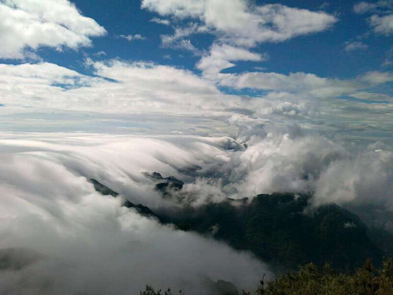 Fansipan Trekking - 1 Day - Key Points