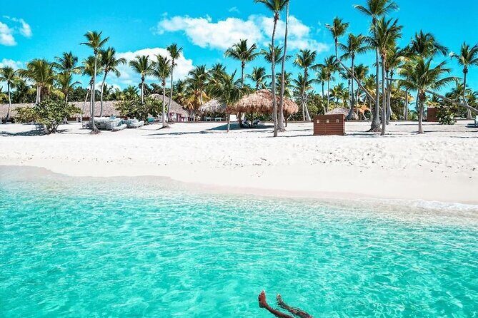 Fantastic Catalina island, beach and depth - An In-Depth Look at the Catalina Island Snorkeling Tour