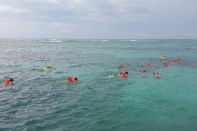 Fantastic Day Isla Mujeres Unlimited Catamaran from Riviera Maya - Who Will Love This Tour?