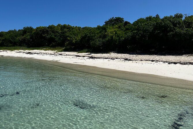 FANTASTIC Green Island and Sea Turtles - Half Day share boat trip - Discovering the Magic of Green Island: A Closer Look
