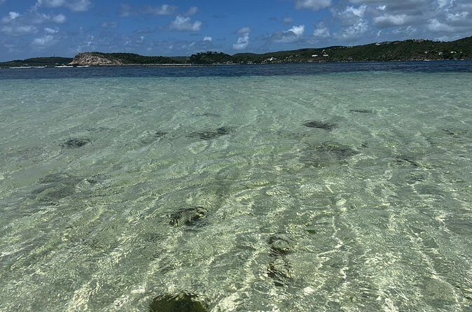 FANTASTIC Green Island and Sea Turtles - Half Day share boat trip - Final Thoughts