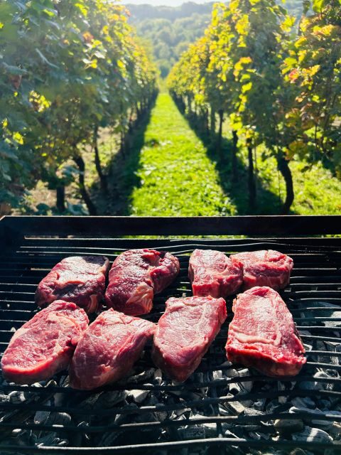 Fantastic wine tour in diferent wineries (Great Hill) - Key Points