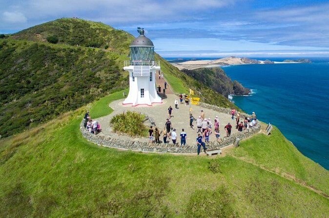 Far North New Zealand Tour Including 90 Mile Beach and Cape Reinga from Paihia - Who Should Book This Tour?