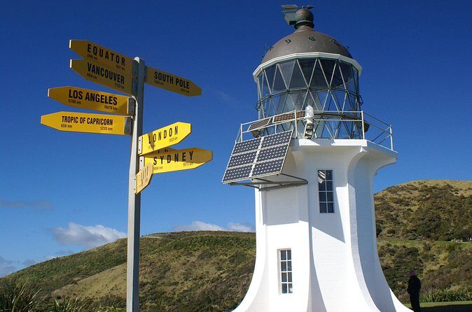 Far North New Zealand Tour Including 90 Mile Beach and Cape Reinga from Paihia - FAQ