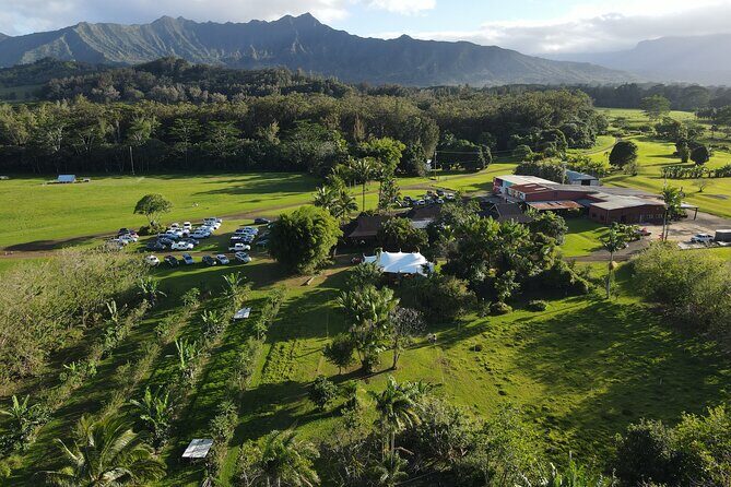Farm and Food Experience in Kilauea - Exploring the Farm and Food Experience in Kilauea
