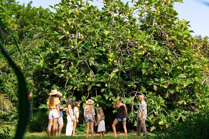 Farm and Food Experience in Kilauea - FAQs