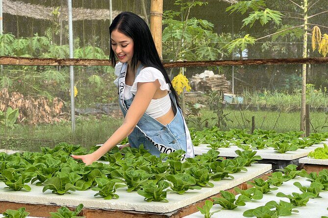 Farm Day Tour with Dining Experience - Key Points