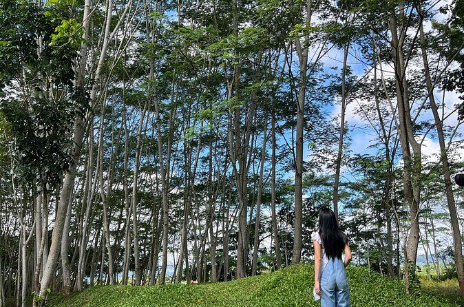 Farm Day Tour with Dining Experience - Value and Cost Analysis