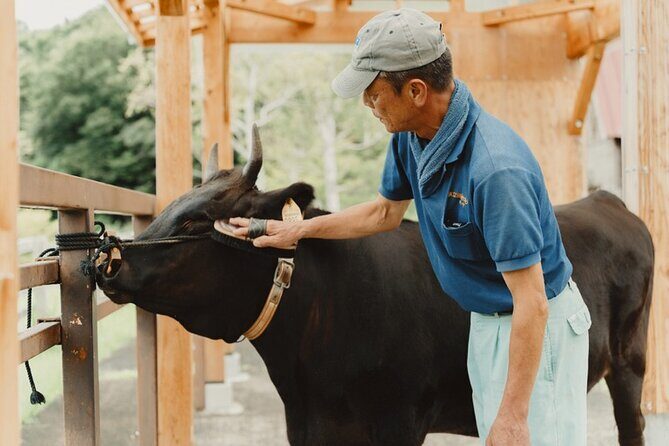 Farm Park Food Education Experience with Tajima Beef - FAQ