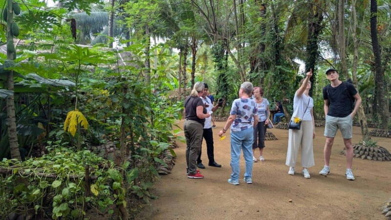 Farm to Table Cooking Class & Authentic Village Experience - Farm to Table Cooking Class & Authentic Village Experience: A Deep Dive