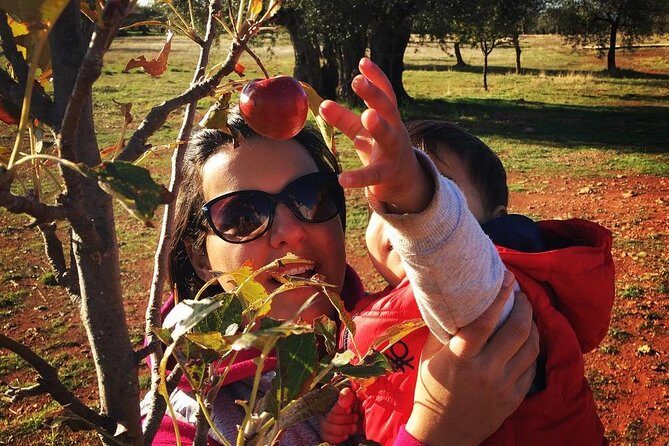 Farm-to-Table Cooking Class in an Organic Farm, Laconia, Greece! - Authenticity and Authentic Experiences: What Travelers Say