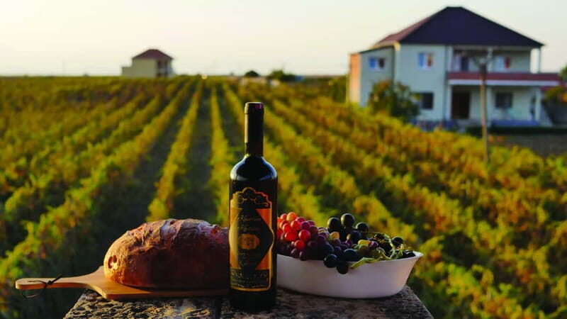 Farm-to-Table Escape: Discover Mrizi i Zanave - An In-Depth Look at the Tour Experience