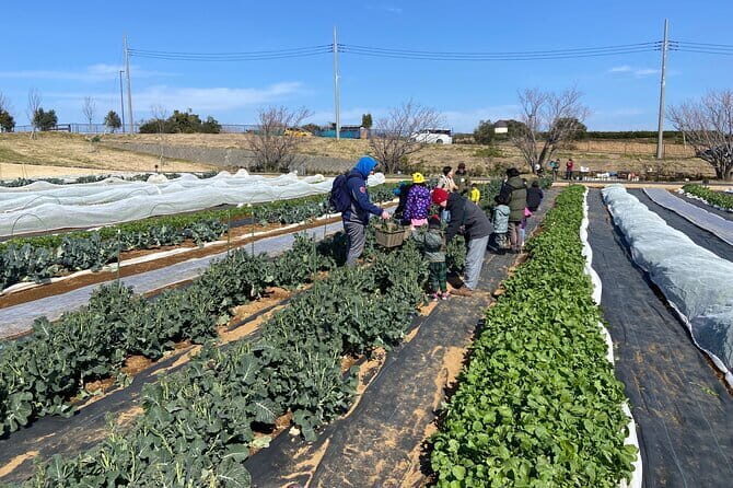 Farm to table Excursion and Barbecue with a Fresh Seafood - Practical Details: Everything You Need to Know