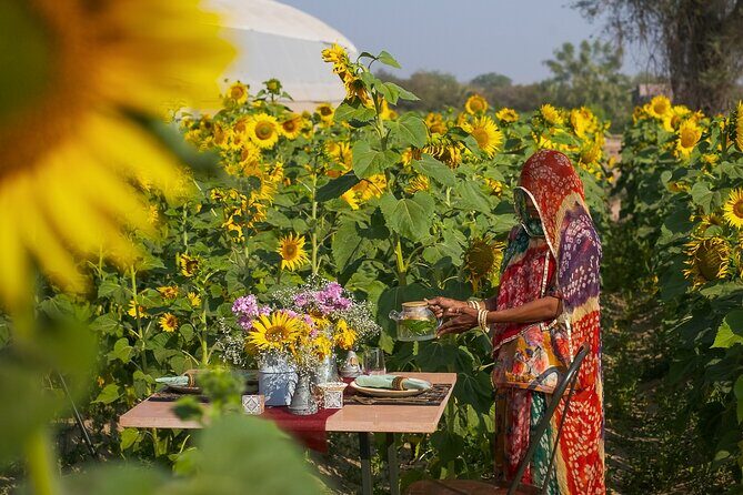 Farm to Table Experience in Jodhpur - Key Points