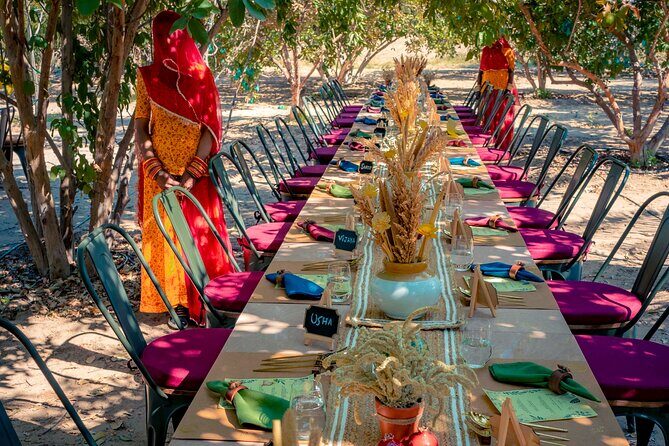 Farm to Table Experience in Jodhpur - The Sum Up: Is It Worth It?