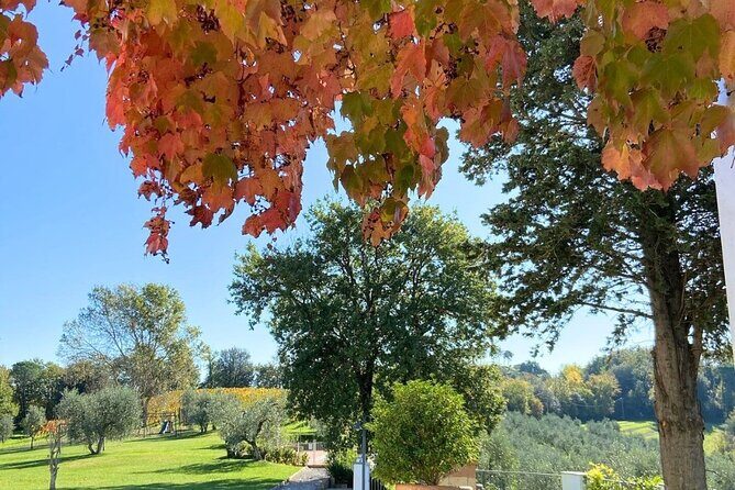 Farm To table Experience on an organic hilltop estate in Tuscany - Who Should Book This Experience?