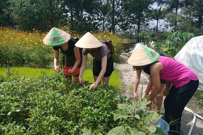 Farm-To-Table Healthy Cooking Class in Ho Chi Minh City - Value and Cost Analysis