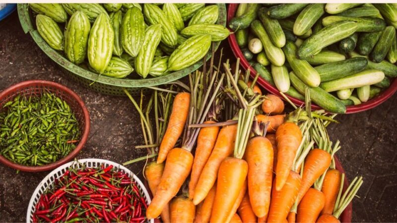 Farm to Table: With a local farmer family - Review Highlights from Participants