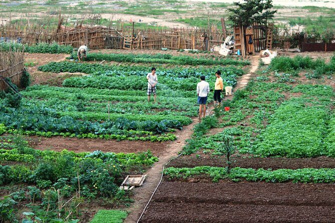 FARM TOUR AND HOME COOKING WITH LOCAL FAMILY IN HANOI 3-5 hours - A Deep Dive into the Experience
