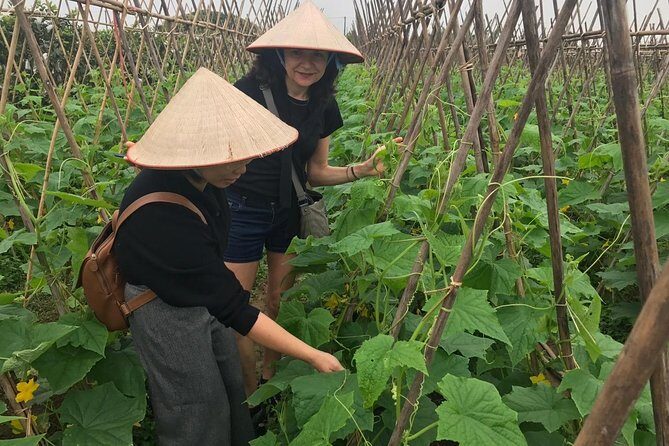 Farm tour & Home cooking class with local family in Hanoi - A Step-by-Step Look at the Experience
