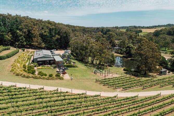Farmer's Lunch - Food and Wine for 2 adults - The Farm and Its Delicacies