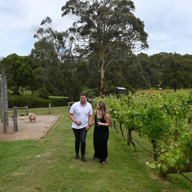 Farmers Lunch - Food and Wine for 2 - What the Food and Wines Bring to the Table