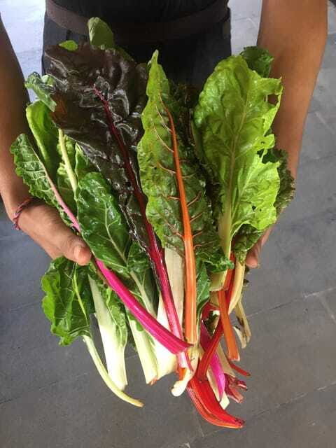 Farmer's Market + Street Food Walking Tour - Chef Curated - Suitable Travelers