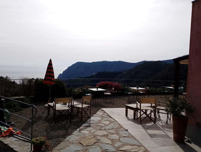 Farmhouse aperitif + electric bike tour in Monterosso al Mare - Who Will Love This Tour?