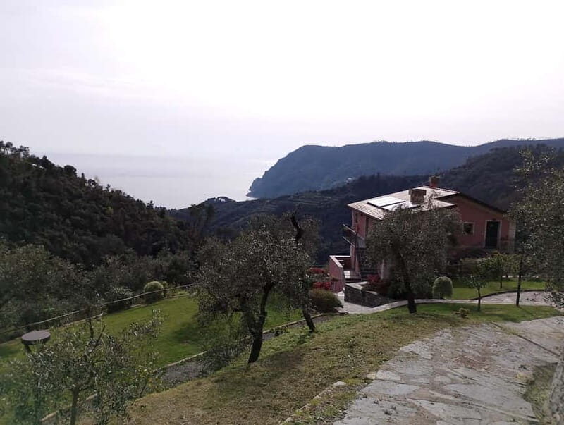 Farmhouse aperitif + electric bike tour in Monterosso al Mare - Final Thoughts