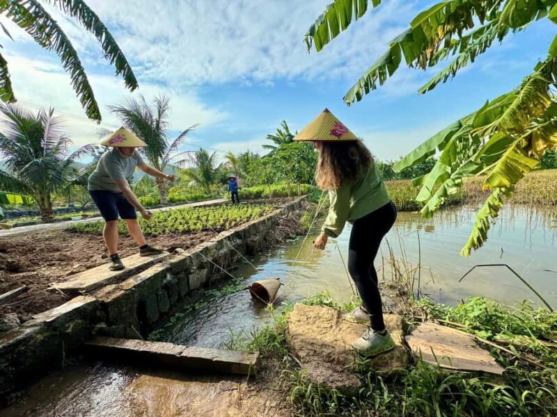 Farming and Cooking Experience at a Local Ninh Binh Farm - The Details That Matter